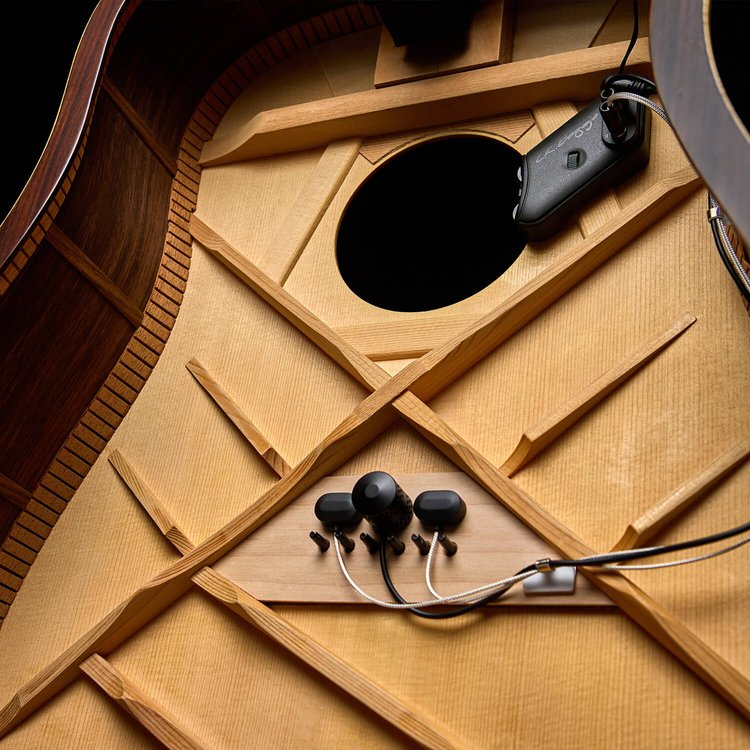 LR Baggs HiFi Duet High-Fidelity Pickup + Microphone Mixing System ...