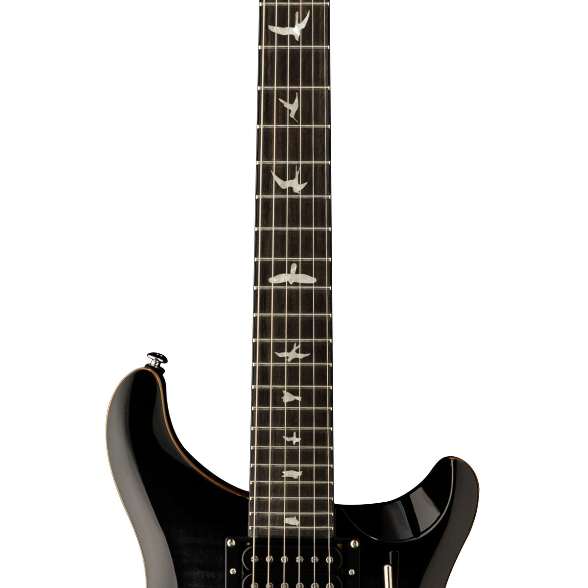 PRS SE Custom 24 Floyd (Charcoal Burst) — Tom Lee Music