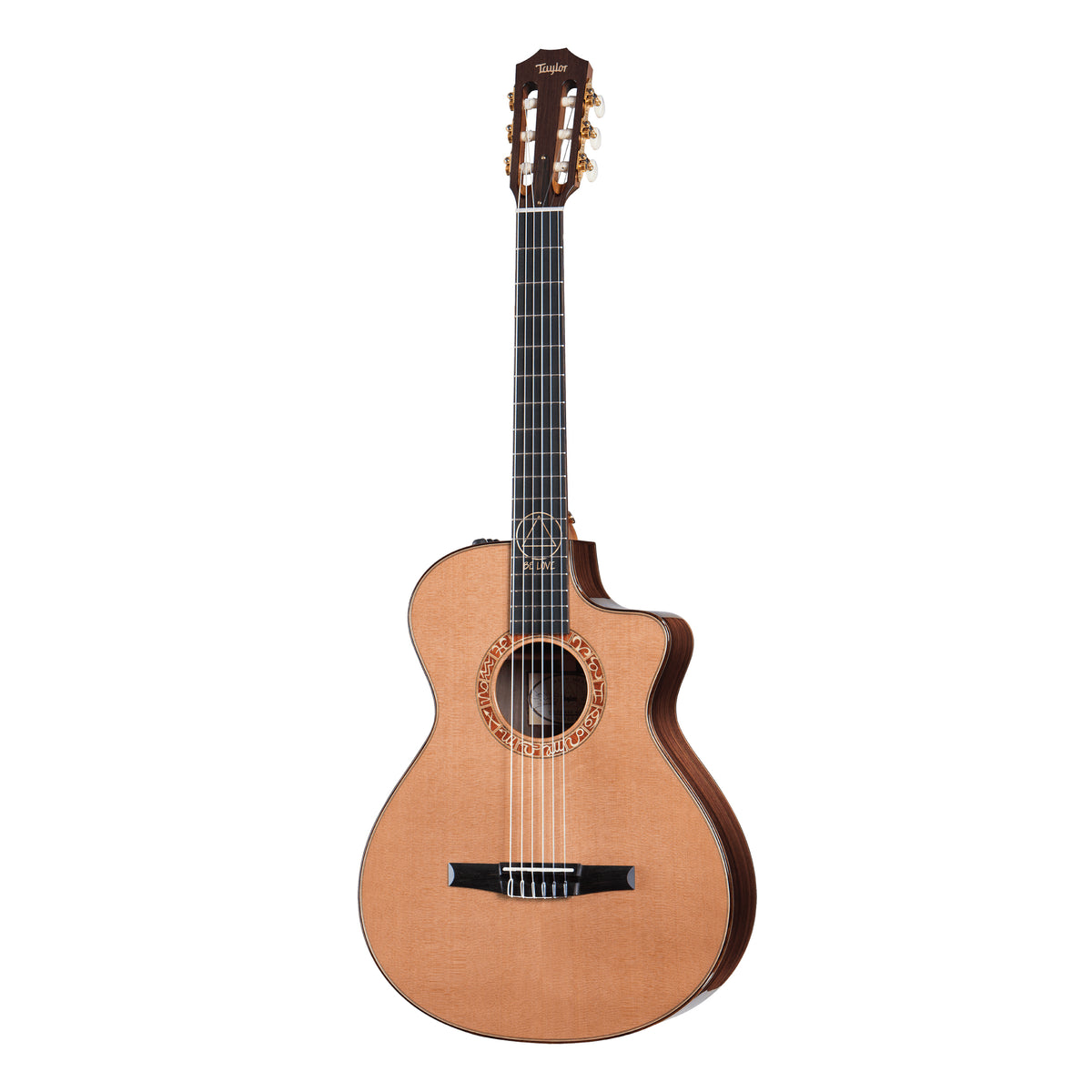 Taylor Jason Mraz Signature Model Acoustic Guitar 木結他 — Tom Lee Music